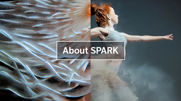 About SPARK 2019 | British Council